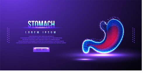 Abstract wireframe stomach Royalty Free Vector Image