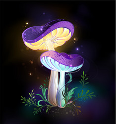Mycelium Vector Images (over 1,100)