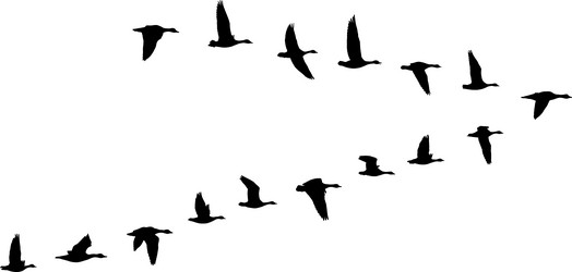 Bird Flock Vector Images (over 5,800)