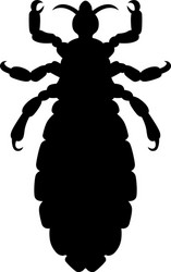 Louse Vector Images (over 740)