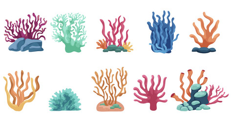 Coral Vector Images (over 63,000)