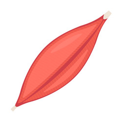 Icon of smooth muscle cell under microscope human Vector Image