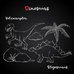 Velociraptor dinosaur in white line on black Vector Image