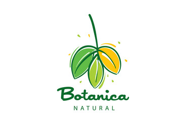 Logo with inscription botanica and painted Vector Image