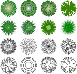Architecture Blueprint Symbols Trees Vector Images (over 180)
