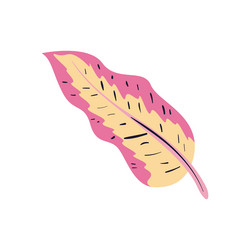 Flat pastel leaf Royalty Free Vector Image - VectorStock