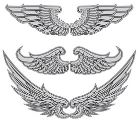 Wings set Royalty Free Vector Image - VectorStock