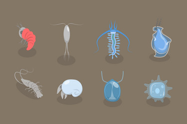 Smiling zooplankton cartoon character - flat Vector Image