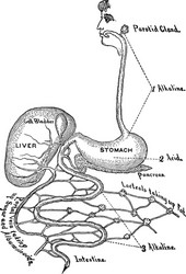 Tract Vector Images (over 6,200)