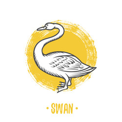 Swan Heraldry Vector Images (31)