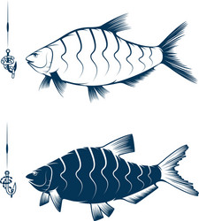 Bream Vector Images (over 1,000)