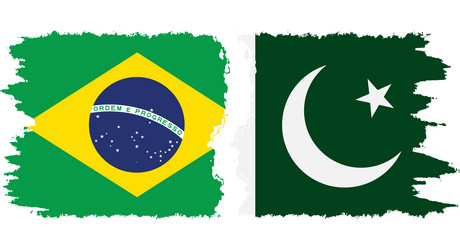 Brazil and pakistan flags for official meeting Vector Image