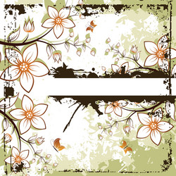 Botanical Floral Border Royalty Free Vector Image