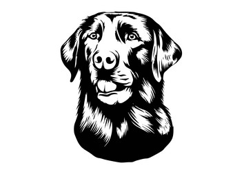 Logo Black Labrador Retriever Vector Images (over 730)