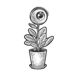 Tomato plant in pot sketch Royalty Free Vector Image