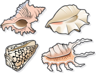 Seashells Vector Images (over 36,000)