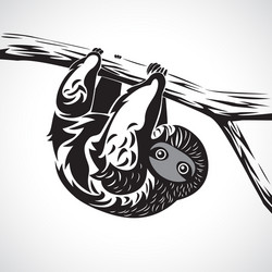 Sloth Vector Images (over 7,600)