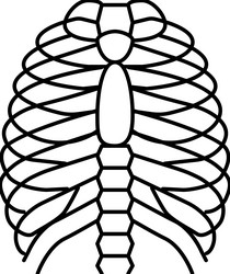 Knee to Chest Vector Images (over 980)