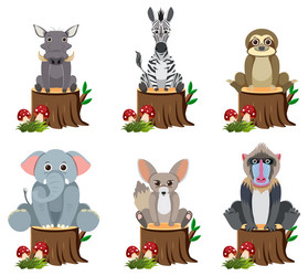 Wild animals sitting on tree stump Royalty Free Vector Image
