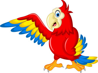 Macaw bird cartoon flying Royalty Free Vector Image