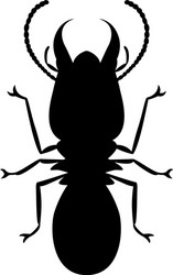 Termite Royalty Free Vector Image - VectorStock