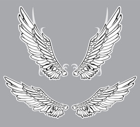 Straightened wings in linear and stamp versions Vector Image