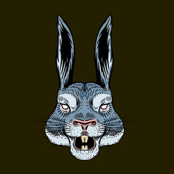 Hand-drawn portrait rabbit portrait a hare Vector Image