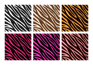 Color image of a zebra Royalty Free Vector Image