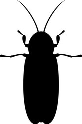 Firefly Vector Images (over 4,800)