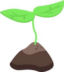 Bean plant growing icon cartoon style Royalty Free Vector