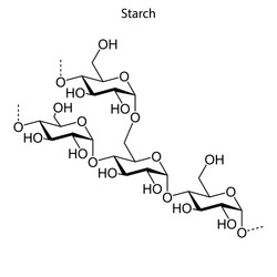 Chemical Structure Of Starch