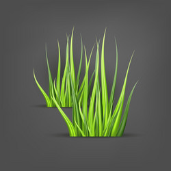 Super realistic detailed fresh green grass Vector Image