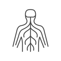Autonomic nervous system Royalty Free Vector Image