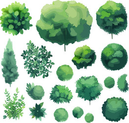 Super trees bushes shrubs top view Royalty Free Vector Image