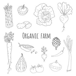 Hand drawn vegetable set in doodle style Vector Image
