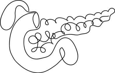 Human pancreas one line art continuous line Vector Image