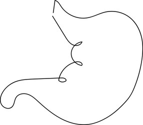 Human pancreas one line art continuous line Vector Image
