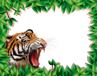 Tiger nature frame border Royalty Free Vector Image