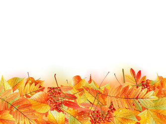 Autumn background with leaves back to school Vector Image