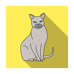Chartreux icon in flat style isolated on white Vector Image