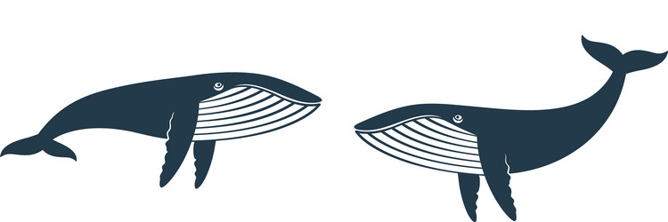 Whale Vector Images (over 32,000)