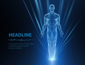 Human body abstract digital anatomy Royalty Free Vector