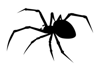 Black Widow Spider Stencil