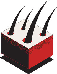 Straight Hair Vector Images (over 8,000)