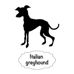 Greyhound Outline Vector Images (over 320)