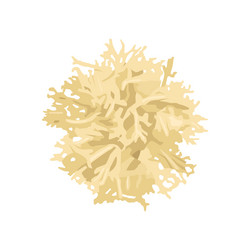 Irish Sea Moss Vector Images (30)