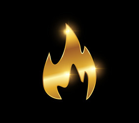 Golden fire logo icon Royalty Free Vector Image