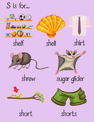 Many Words Begin with Letter S Vector Images (16)