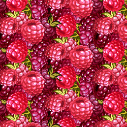 Raspberries Vector Images (over 26,000)