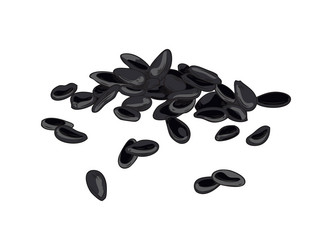 Engraving sesame seed cartoon Royalty Free Vector Image